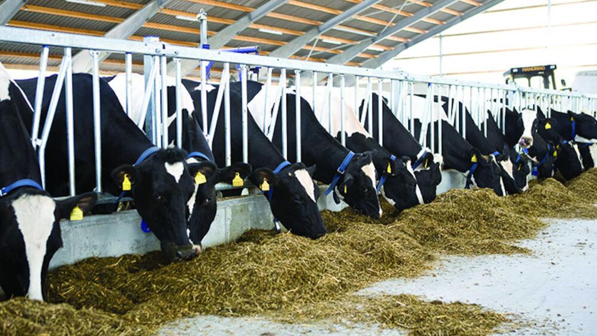 DeLaval Herd Navigator™ - DeLaval