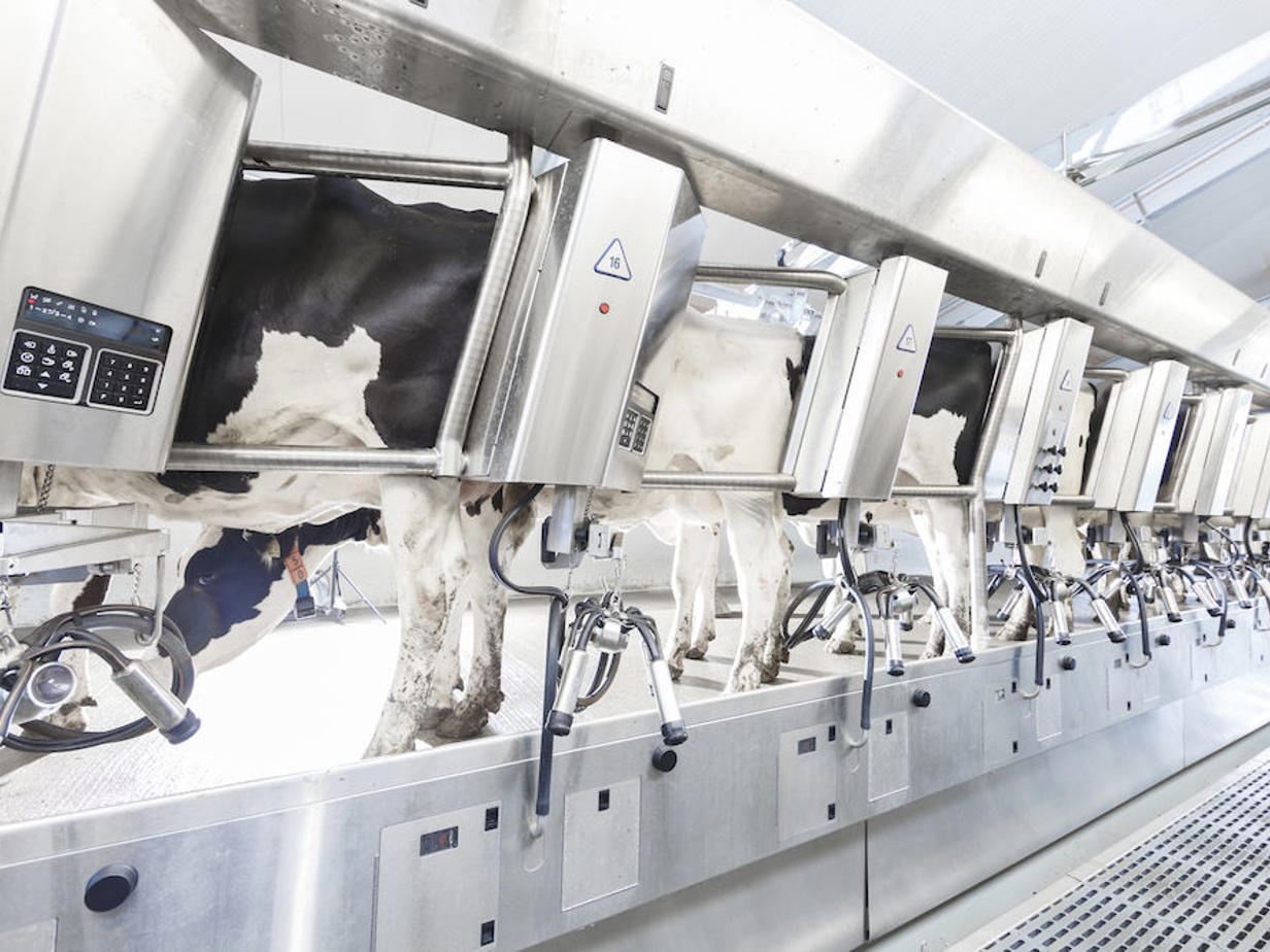 DeLaval herringbone HDHB - DeLaval