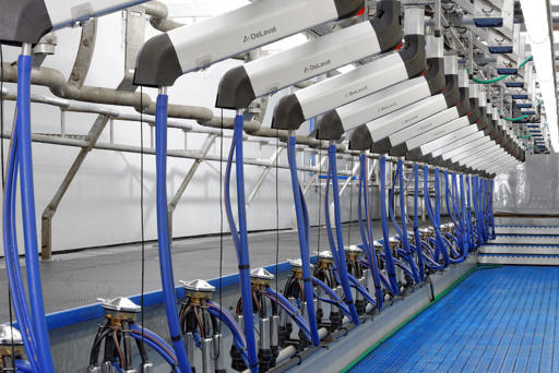 DeLaval MidiLine™ milking system ML3100 - DeLaval