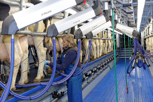 Delaval Milking Parlour