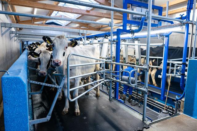 DeLaval herringbon Доїльний зал типу «ялинка» HB50 від компанії «ДеЛаваль»e parlour HB50 - DeLaval
