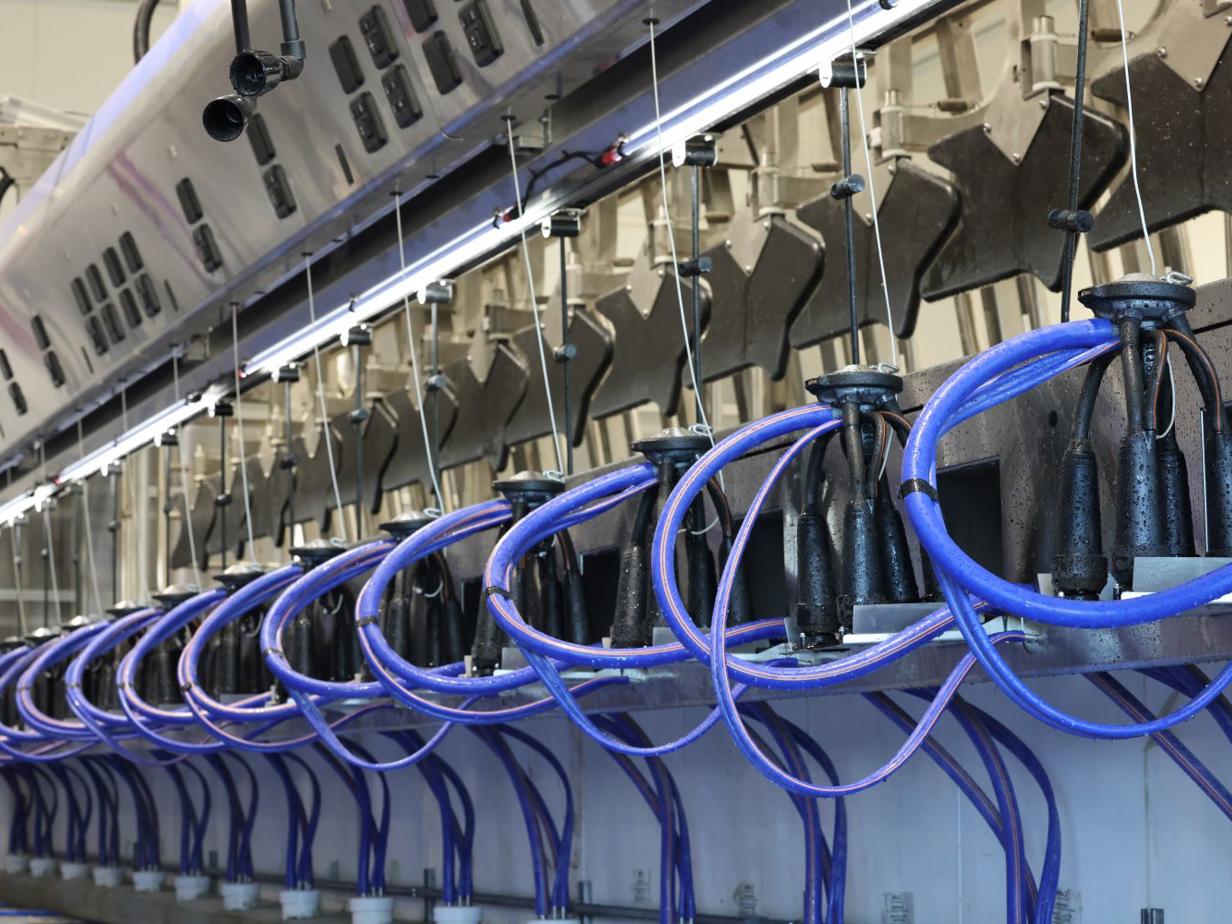 DeLaval Parlour milking system P500 - DeLaval