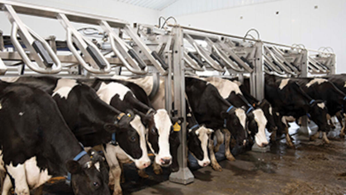 DeLaval Parlor P500 - DeLaval