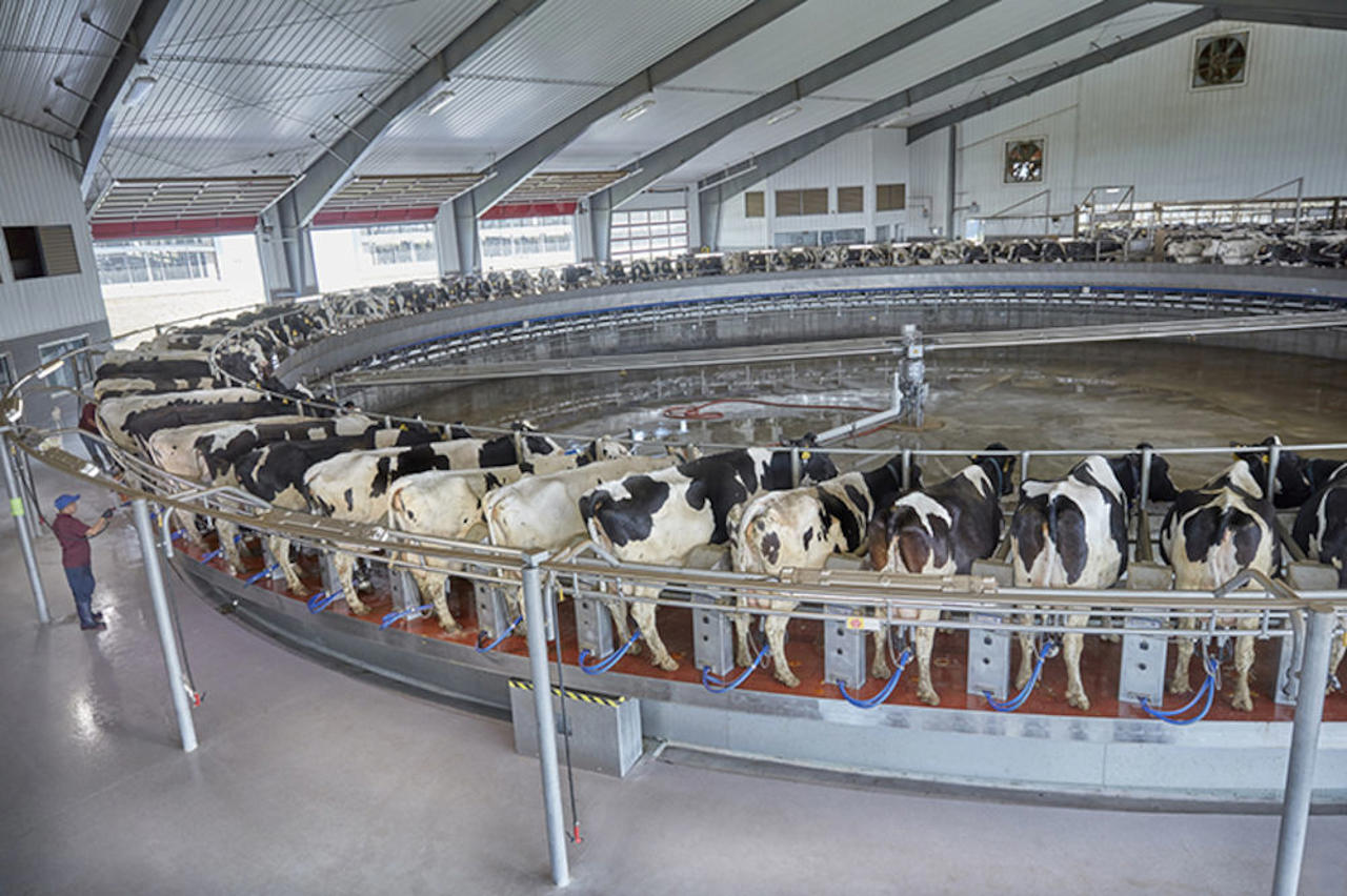 Better farm performance - DeLaval