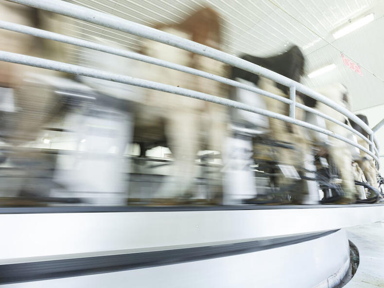 DeLaval parallel rotary PR3100HD - DeLaval