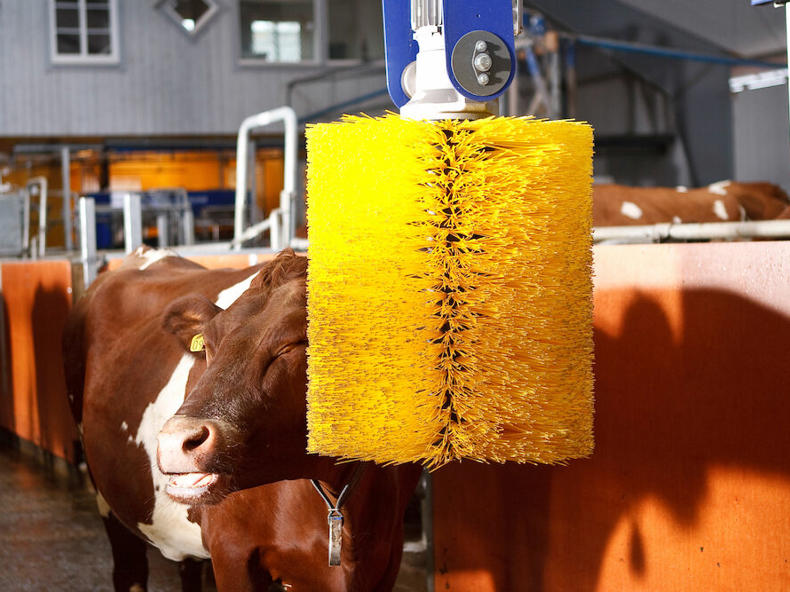 Brosses à vaches - DeLaval
