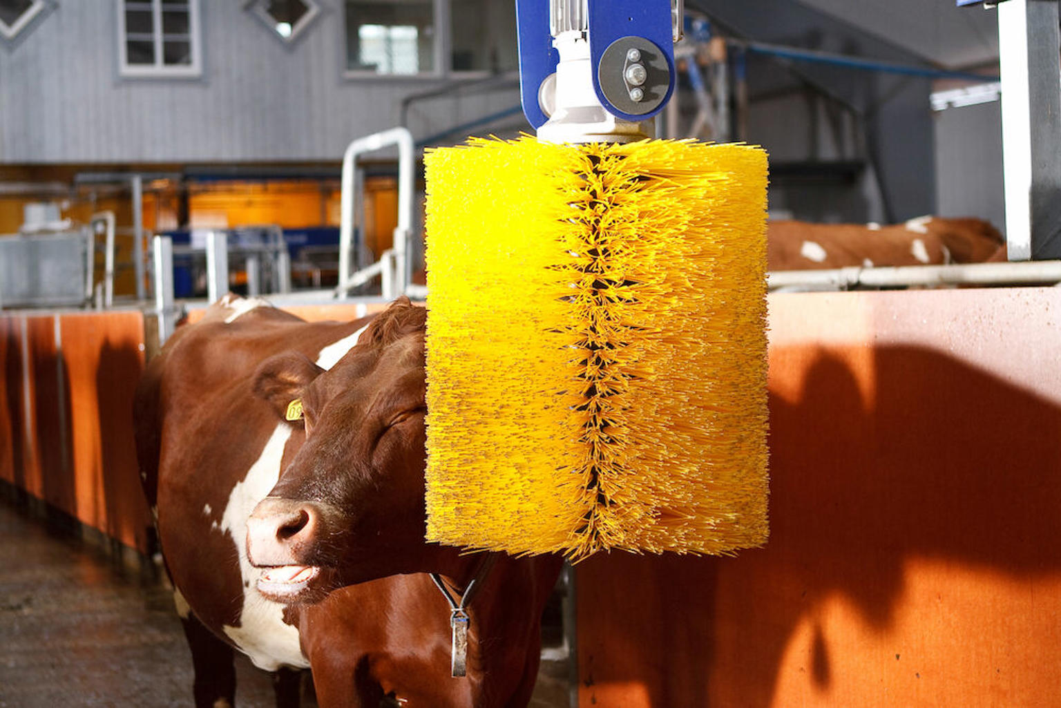 DeLaval swinging cow brush SCB - DeLaval