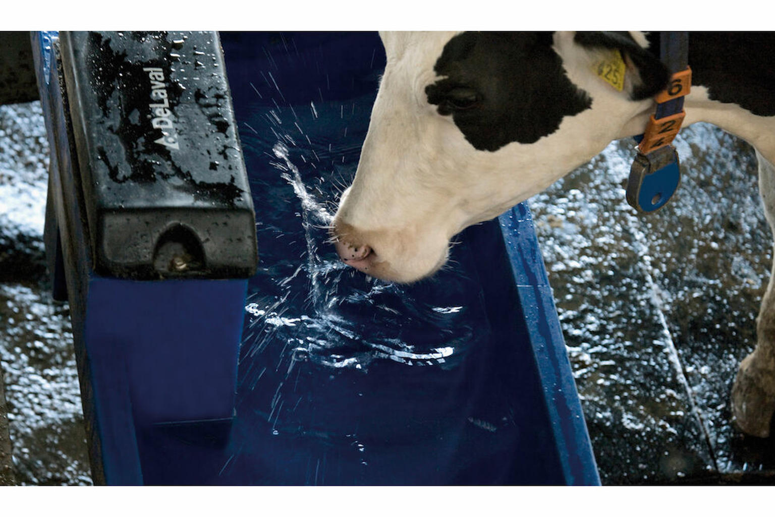 Waterbak T400 - DeLaval
