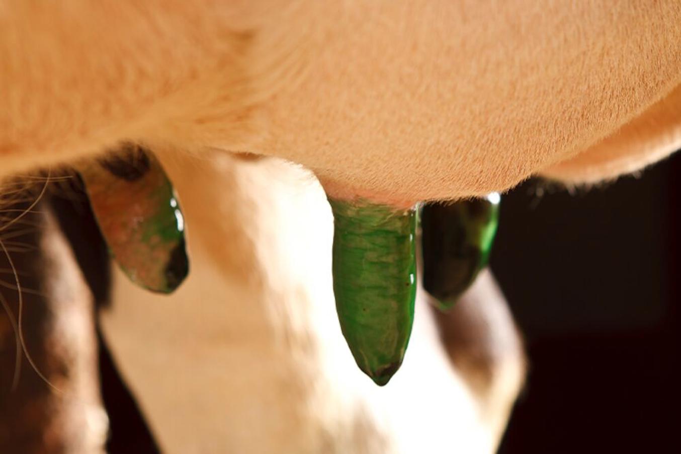 Titan Sprayable Barrier - DeLaval