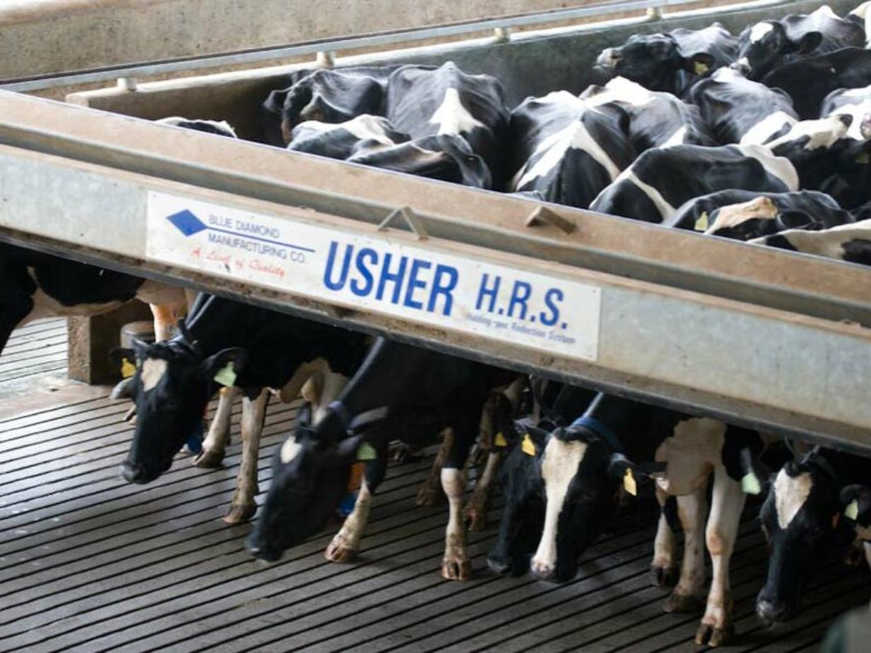 Usher - DeLaval