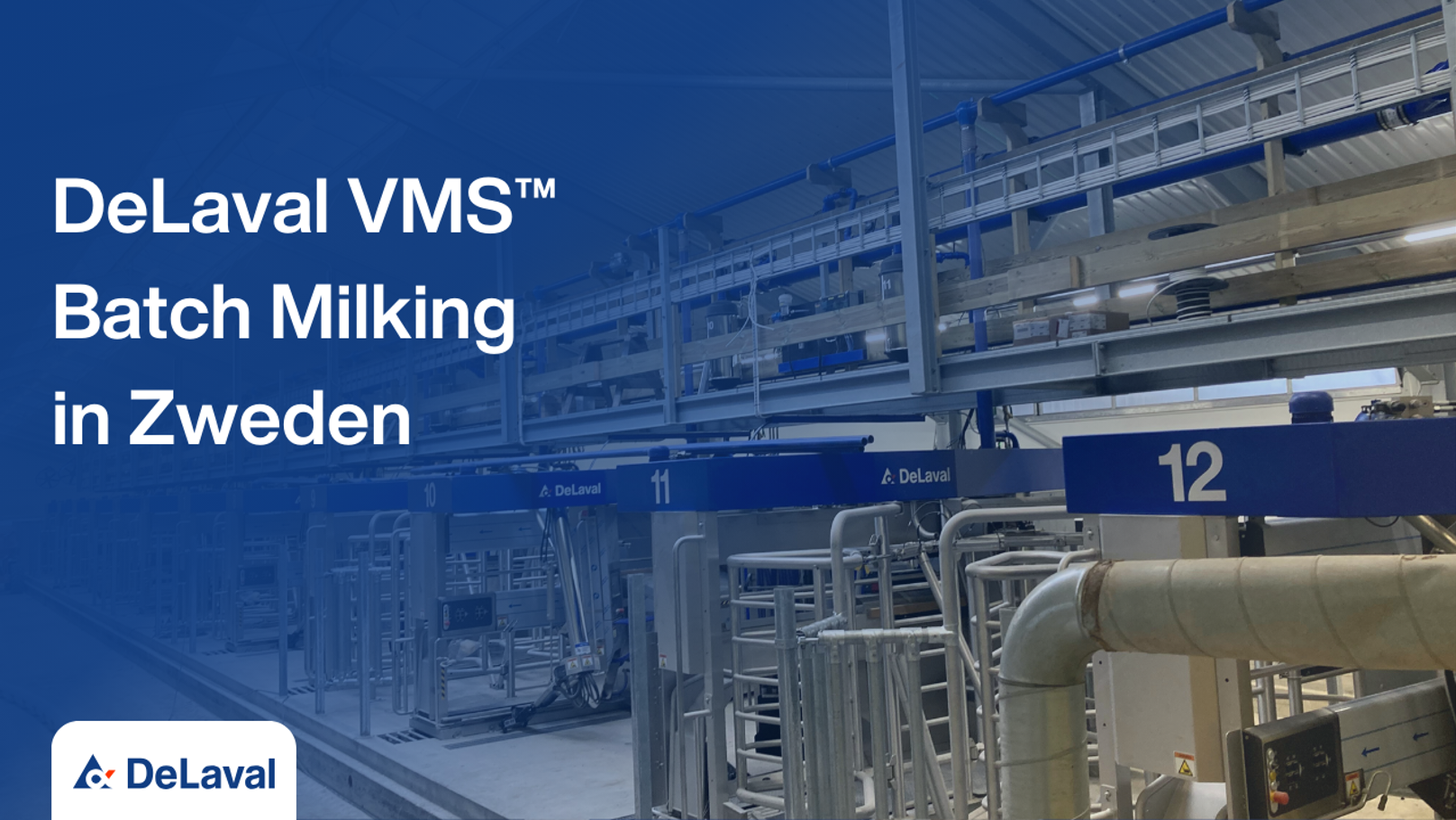 DeLaval VMS Batch Milking - DeLaval