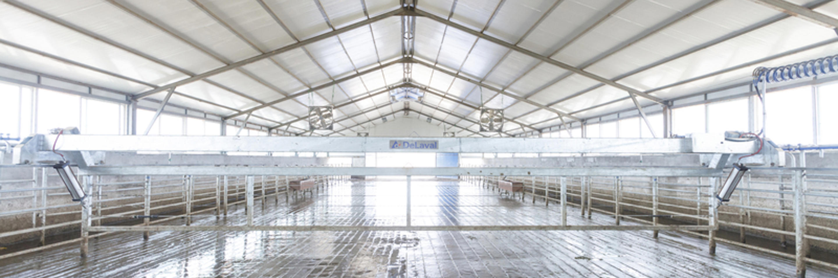 Crowd Gates - DeLaval