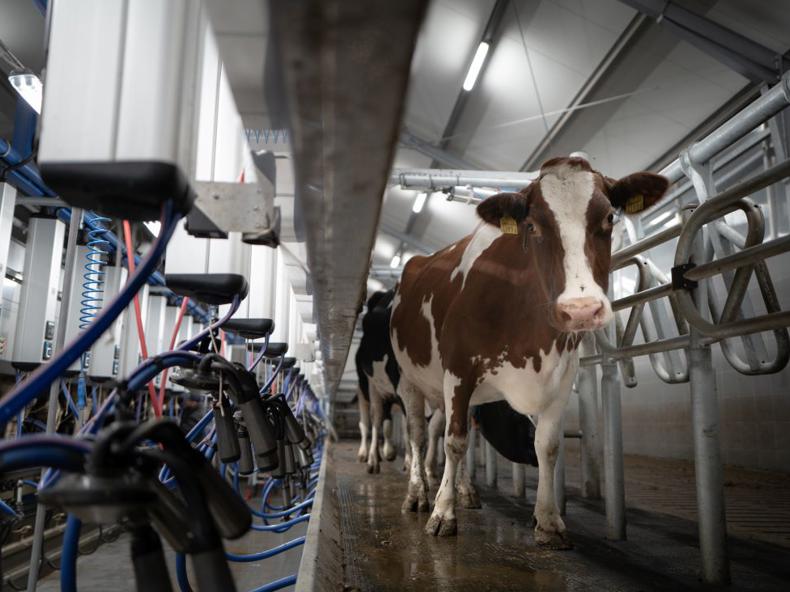 DeLaval Parlour milking system P300 - DeLaval