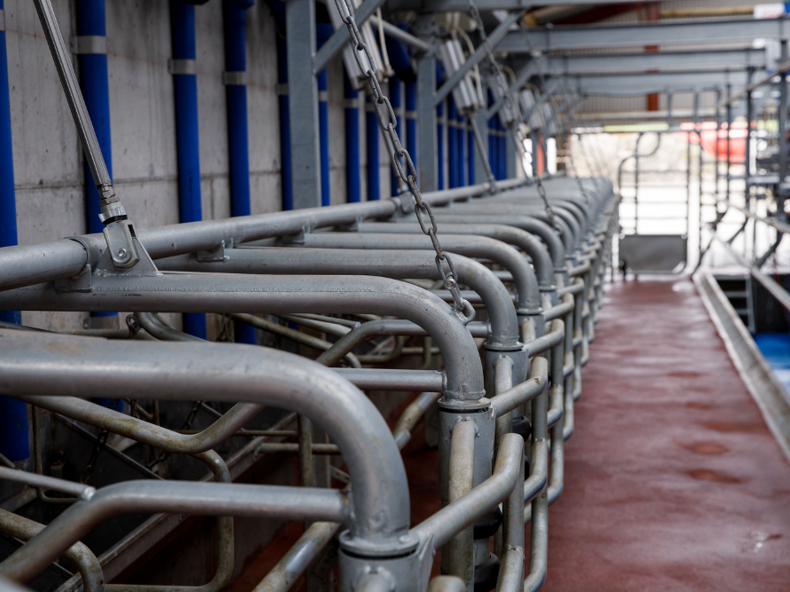 DeLaval Parlour milking system P100 - DeLaval