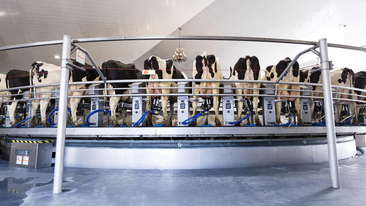 利拉伐转盘式挤奶系统旗舰 E500 - DeLaval