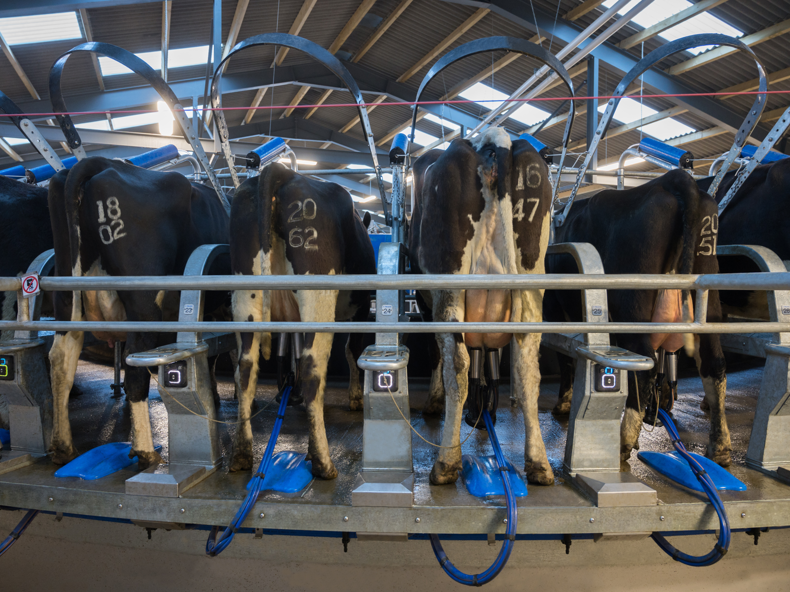 DeLaval Rotary milking system E100 - DeLaval