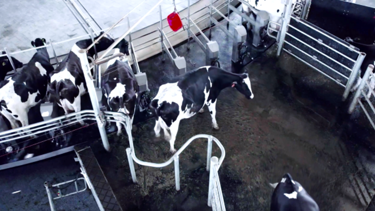 ロータリーE500 - DeLaval