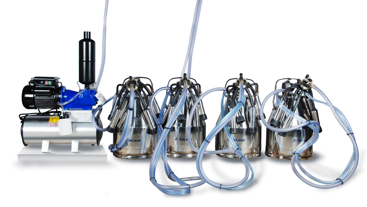 Bucket milking - DeLaval