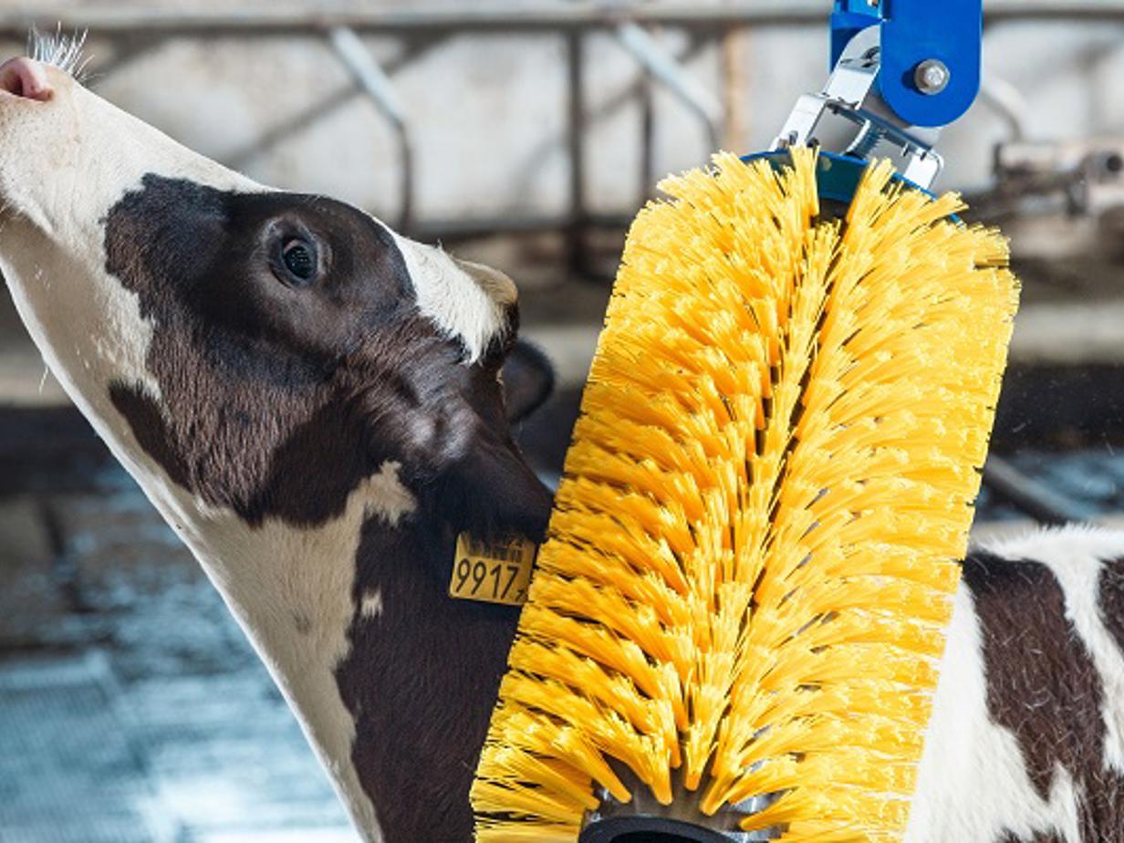 Brosses à vaches - DeLaval
