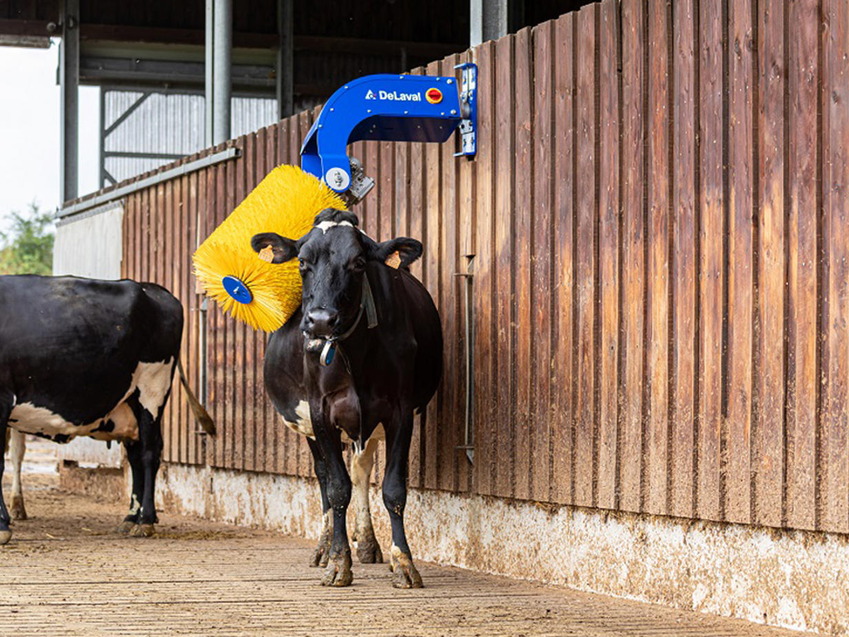 Brosses à vaches - DeLaval