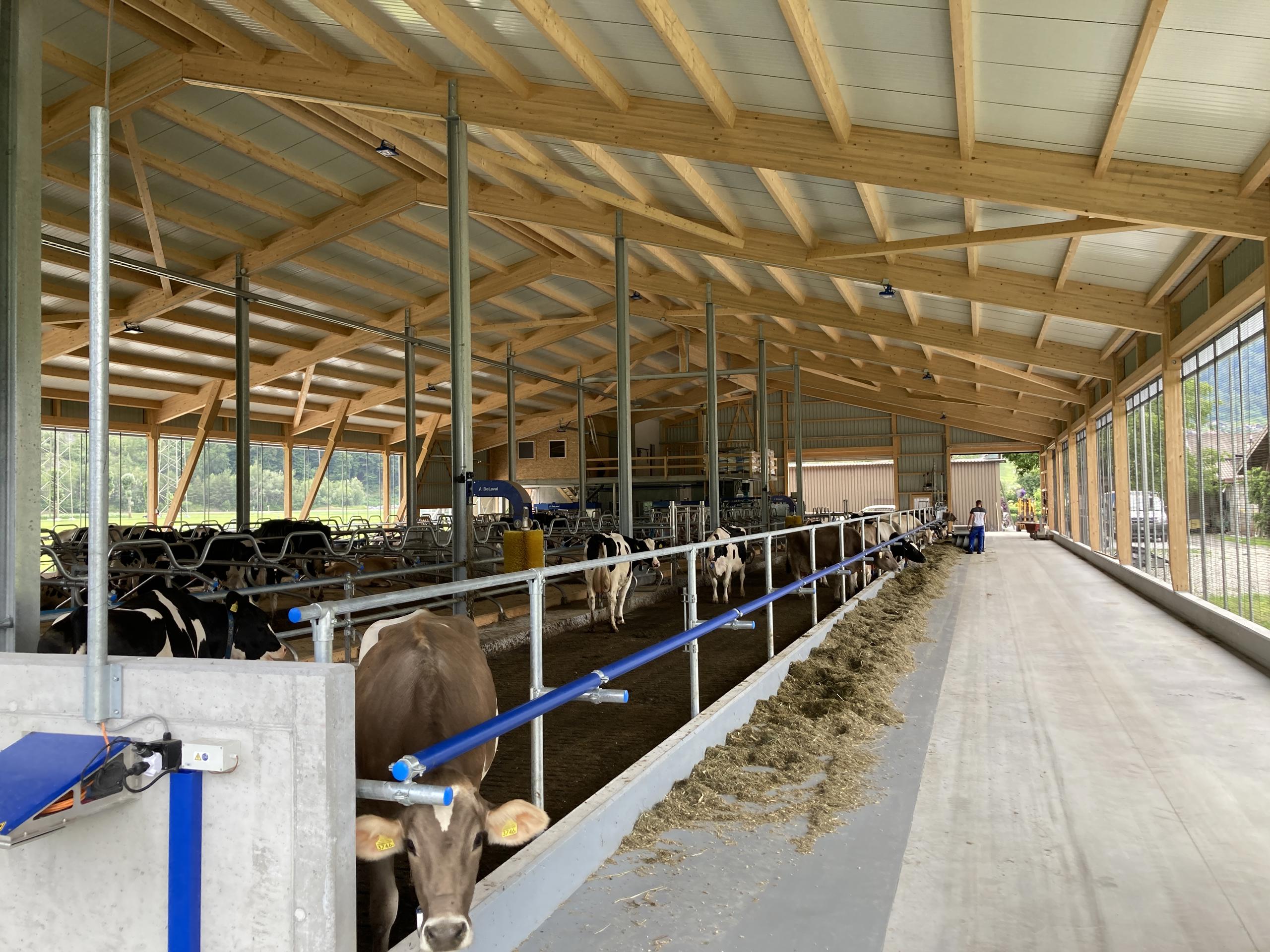 Joos Untervaz - DeLaval