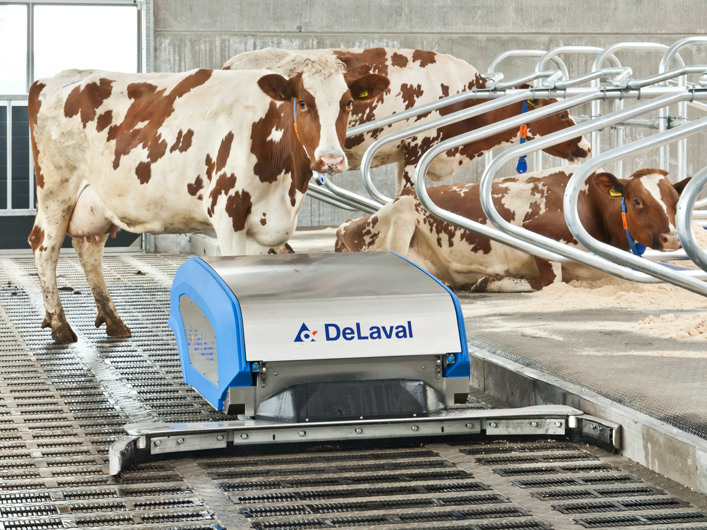 Robot Scraper - DeLaval