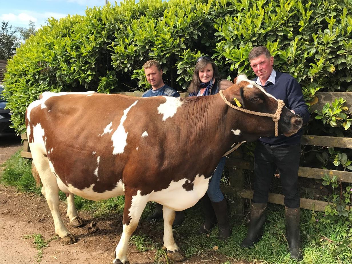 Butteridge Farm - DeLaval