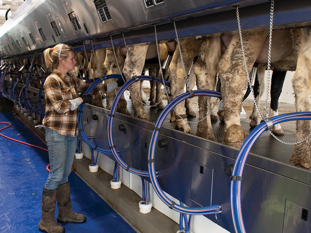 DeLaval Flow-Responsive™ Milking - DeLaval